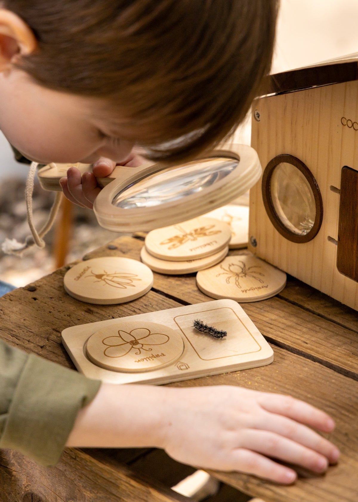 Wooden Bug House - Bug Catcher Kit for Kids – Coco Village