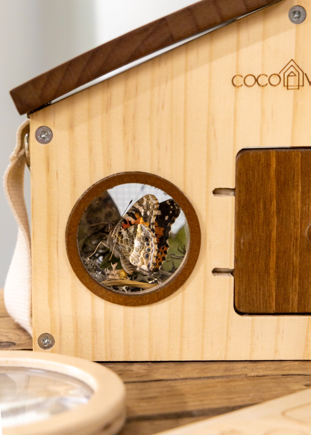 Wooden Bug House - Bug Catcher Kit for Kids – Coco Village