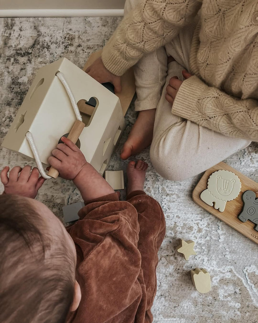 Wooden Shapes Sorting House – Coco Village